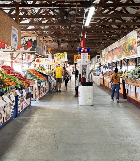 massive international market florida ftr