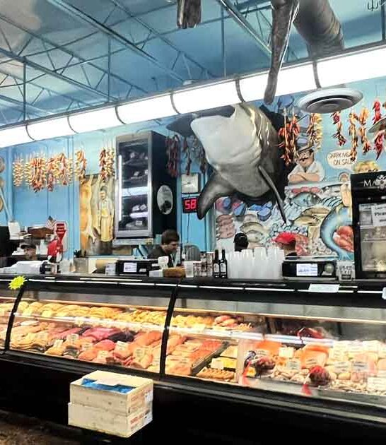 mazzaros italian market florida ftr