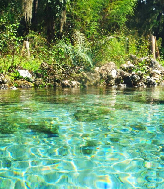 natural wonders florida ftr