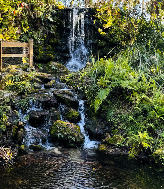 out back florida hike ftr