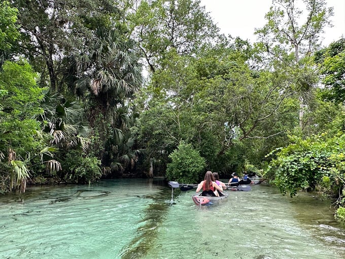 Perfect Weekend Itinerary Florida 2