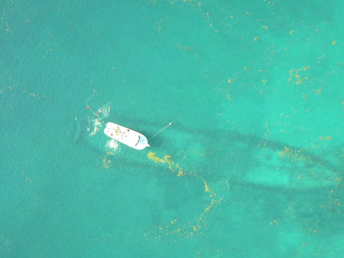 quirky facts florida 2