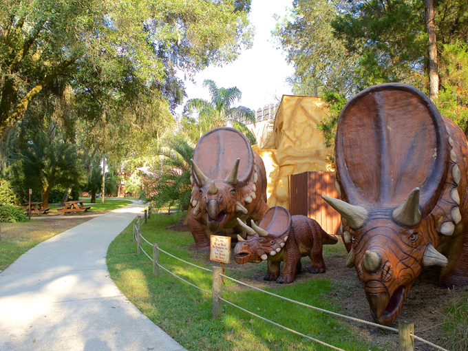 quirky facts florida 4