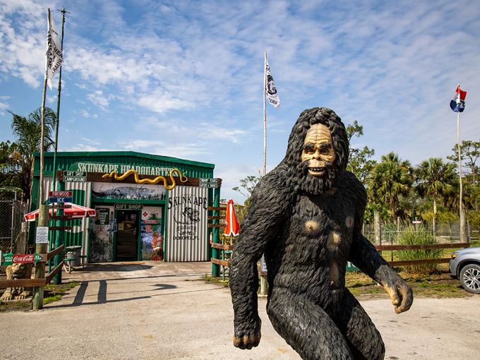 quirky facts florida 8