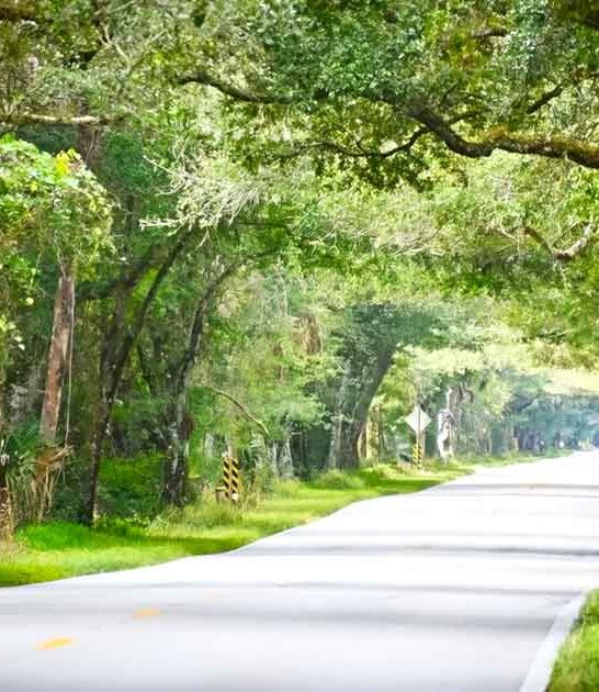 scenic mile drive florida ftr