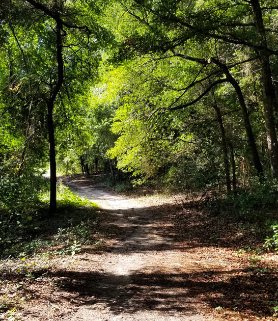 secluded waters preserve florida ftr