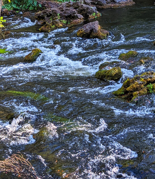 seminole forest florida overlook ftr