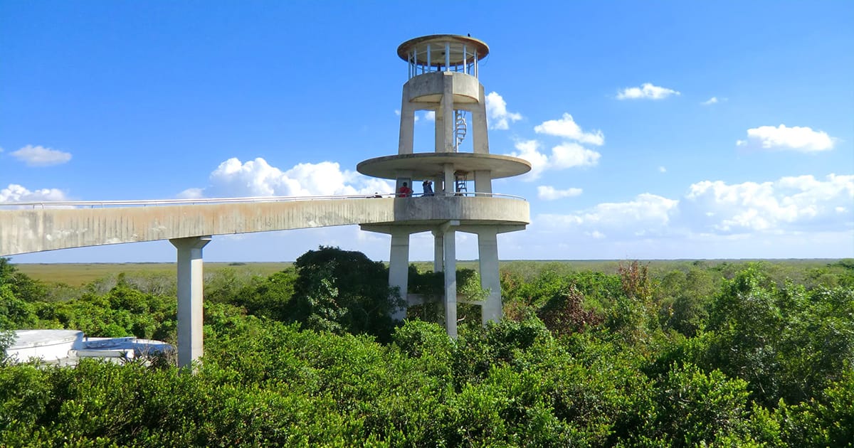 space needle lookalike florida ftr