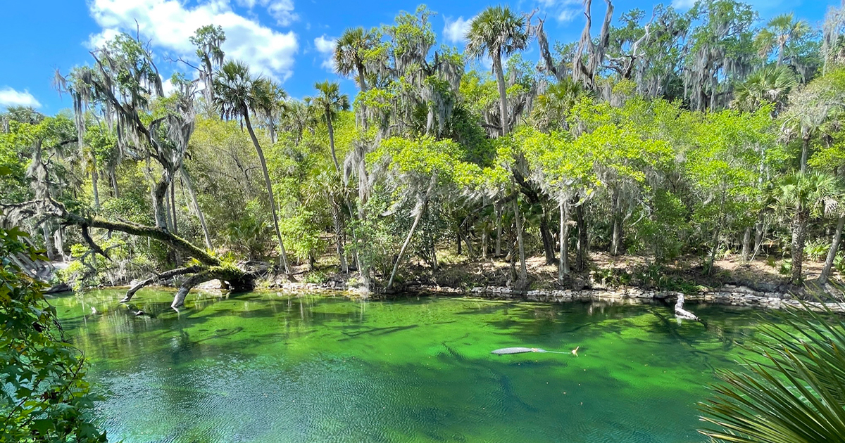sprawling park wildlife florida ftr