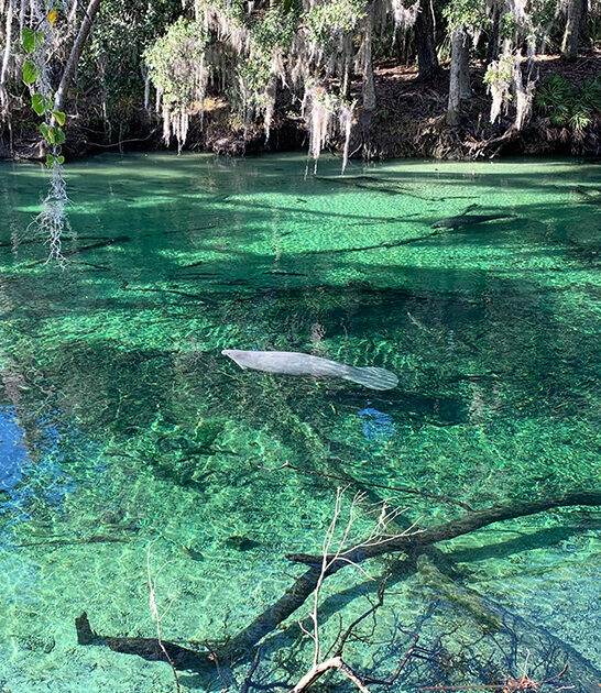 stunning florida trail ftr