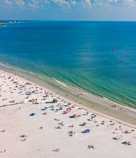 things only in florida ftr