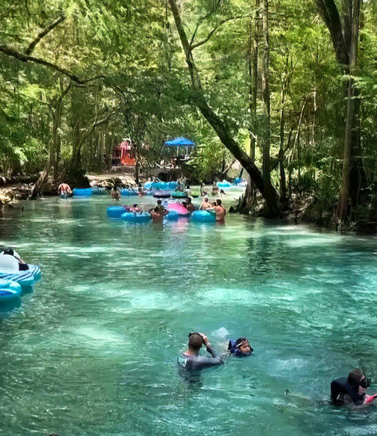 top lazy rivers florida ftr