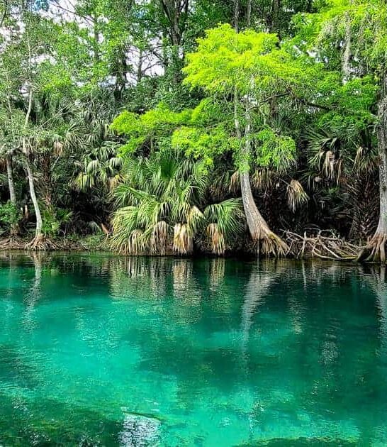 top state parks florida ftr