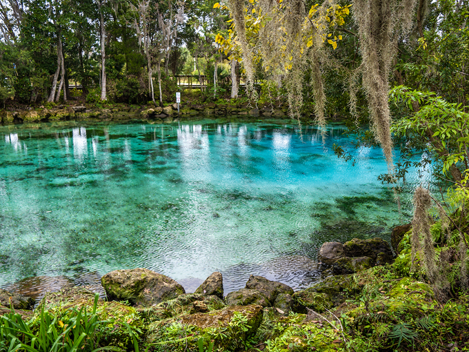 towns florida outdoors 4