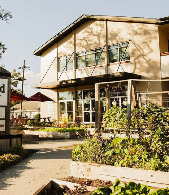 unique florida artisan market ftr