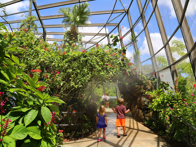 unique privileges florida lifestyle 7