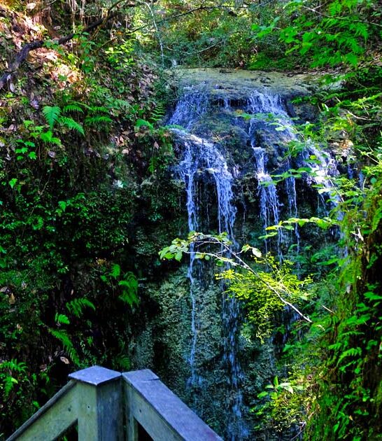 waterfall hikes florida FTR
