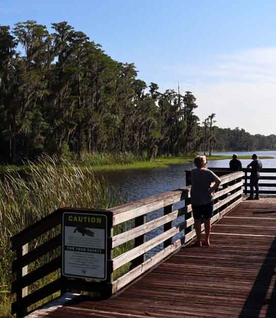 yurt campgrounds florida ftr