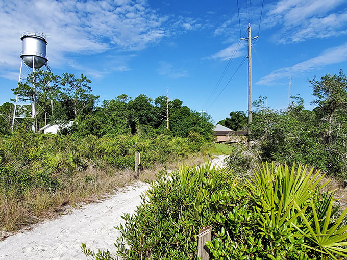 The iconic water tower stands sentinel over Archbold Biological Station, a landmark guiding visitors to this ecological treasure since the 1940s.