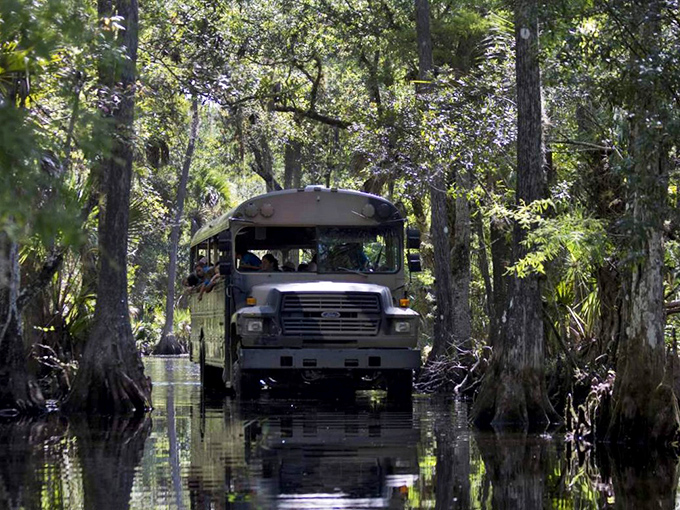 A rugged swamp buggy navigates through cypress-studded waters &ndash; Florida's version of a VIP backstage pass to nature's private show.