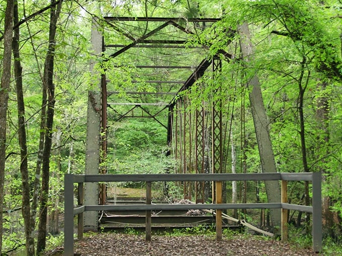 Nature reclaims what humans abandon, the rusted skeleton of Bellamy Bridge standing defiant against time and elements.