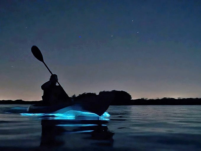 A lone kayaker creates a trail of ethereal blue light, turning an ordinary paddle into a magical light show on Florida's bioluminescent waters.