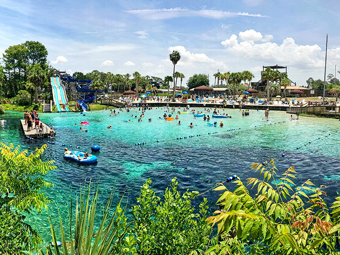 Crystal-clear waters of Buccaneer Bay invite swimmers to dive into nature's perfect swimming pool, where spring water creates a tropical paradise.