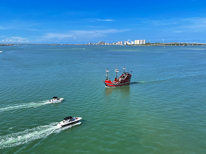 The crimson Pirate's Ransom cuts a striking figure against Clearwater's turquoise waters, like a cardinal soaring over a tropical paradise.