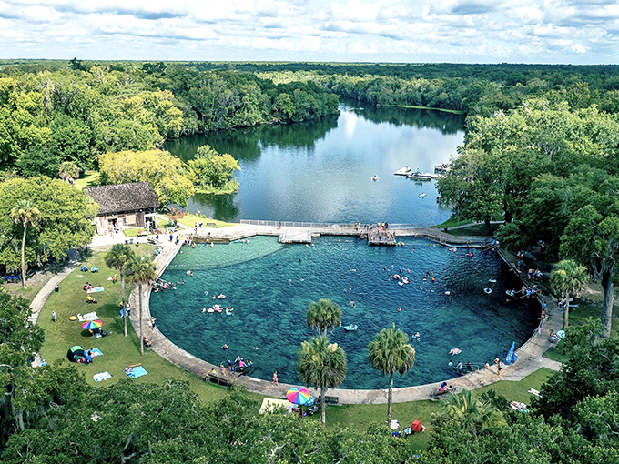 A breathtaking aerial view of Florida's natural swimming pool, where 19 million gallons of crystal-clear water bubble up daily. Mother Nature's perfect design!