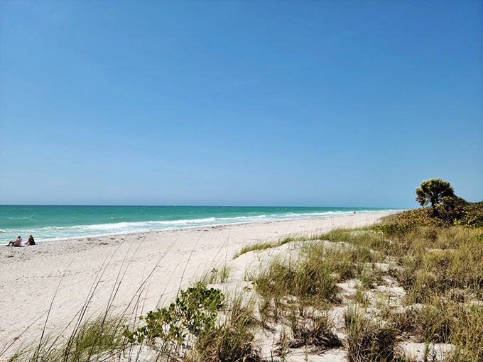 Paradise found: Don Pedro Island's pristine shoreline stretches into the distance, where turquoise waters meet powder-white sand under an endless blue sky.