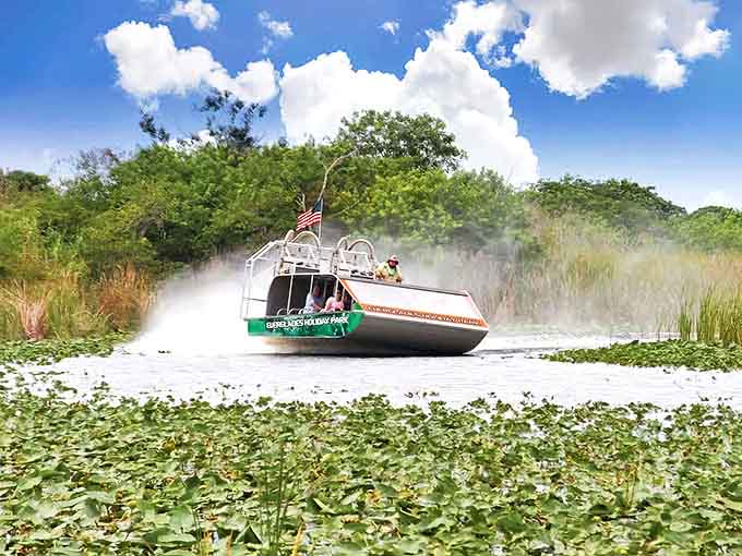 Nothing says "Florida adventure" quite like an airboat slicing through lily pads at speeds that make your heart race and your hair stand at attention.