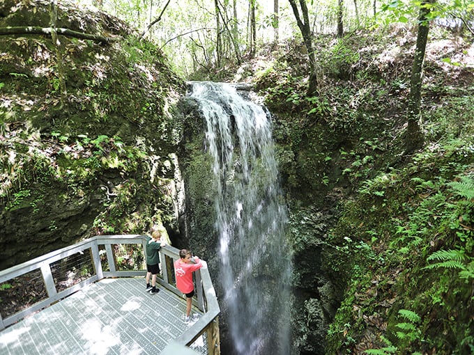 The star attraction of Falling Waters State Park &ndash; a 73-foot cascade plunging dramatically into a mysterious limestone sinkhole where water vanishes underground.