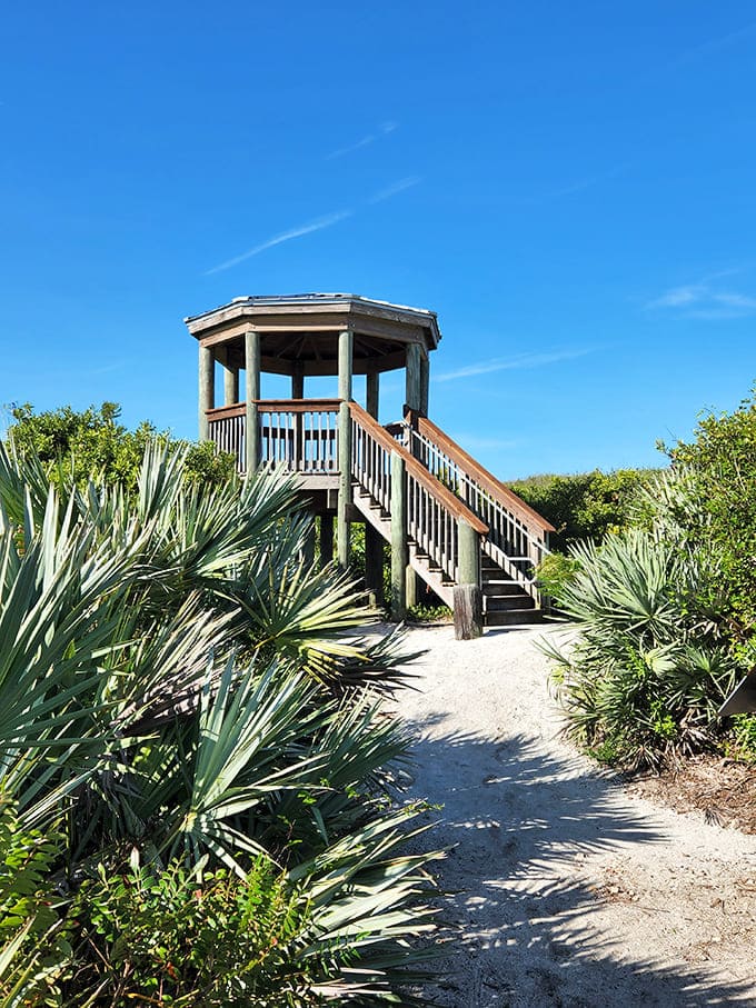 That observation tower isn't just for show&mdash;it's your portal to seeing the landscape as the Timucuan people might have, minus the Instagram filter.