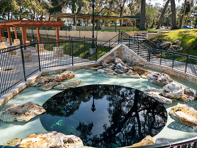 The mesmerizing blue-green waters of the spring create nature's perfect infinity pool, inviting visitors to dive into Florida's geological wonder.