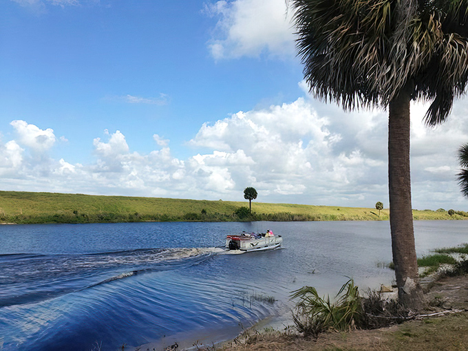 Harney Pond Canal Recreation Area welcomes visitors with pristine waters and swaying palms &ndash; Florida's version of a red carpet entrance.
