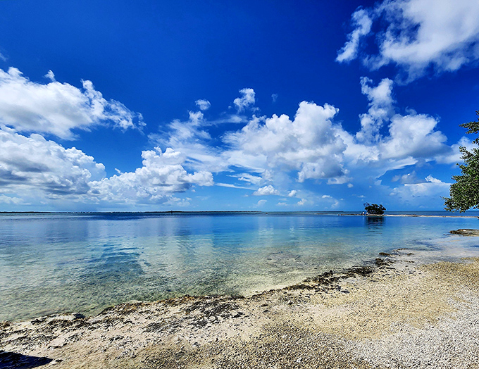 Paradise found: Horseshoe Beach's crystal waters meet cloudscapes that would make Renaissance painters weep with joy.