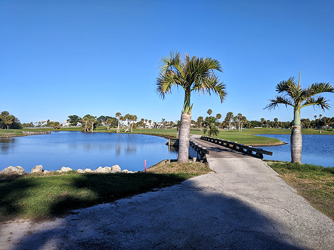 Palm-lined pathways and tranquil waters greet cyclists on Hutchinson Island, where Florida shows off its more sophisticated, laid-back personality.