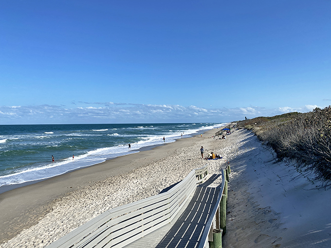 The pristine shoreline stretches for miles, offering a rare glimpse of what Florida looked like when Ponce de Le&oacute;n first arrived. History with a view!