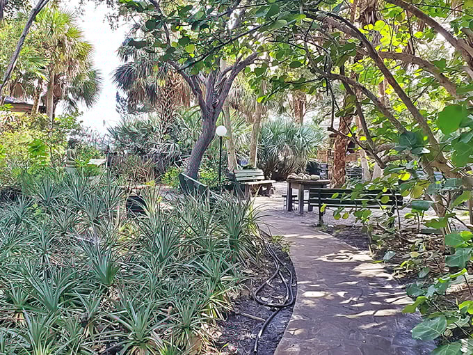 Winding pathways invite exploration through this lush sanctuary where history whispers through every palm frond and oak leaf.