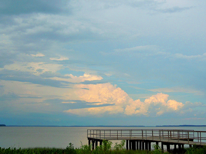 Lake Harris stretches out like nature's welcome mat, where the wooden pier invites you to wander into a watercolor painting come to life.