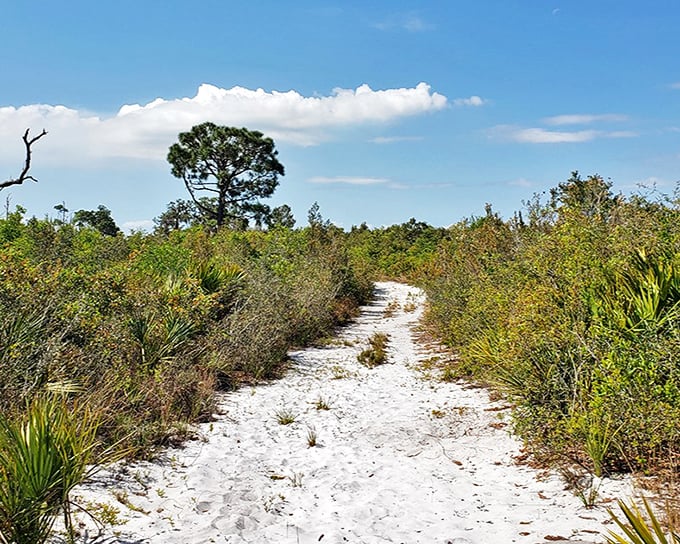 1. lake june in winter scrub preserve state park