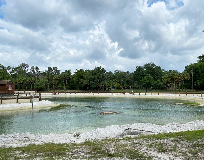 Lithia Springs' crystal basin gleams like a jewel in Florida's wilderness crown, where therapeutic waters have flowed for centuries.