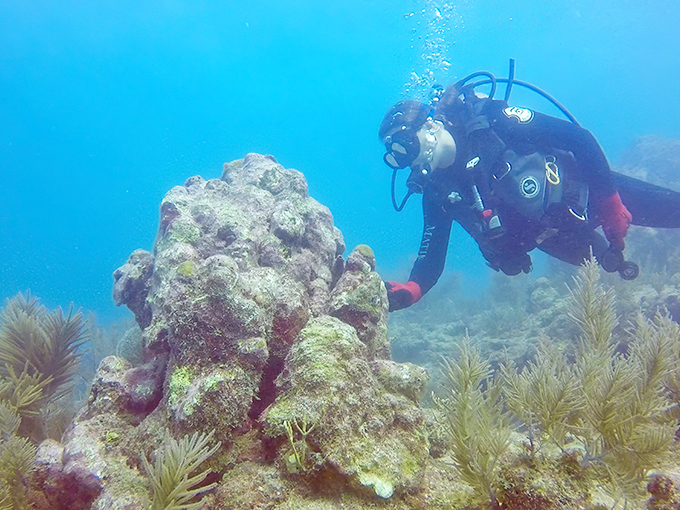 Molasses Reef's coral formations create nature's own underwater metropolis &ndash; bustling with life and more colorful than a tropical fruit salad.