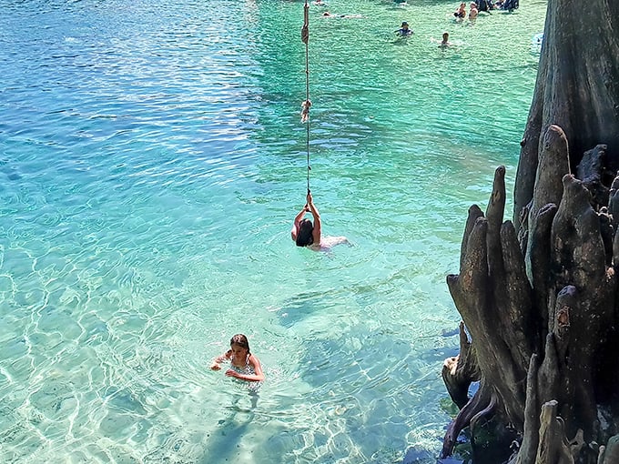 Crystalline turquoise waters invite swimmers into Morrison Springs, where rope swings and adventure await the brave and playful.