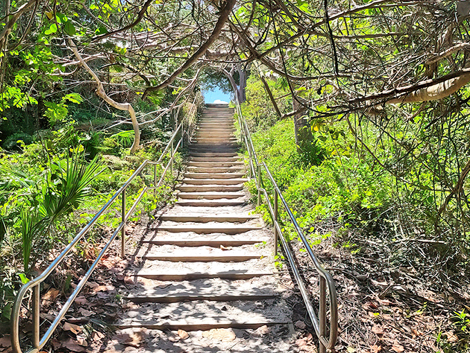 A wooden stairway beckons through a tunnel of greenery, promising adventure and the whisper of waves at the journey's end.