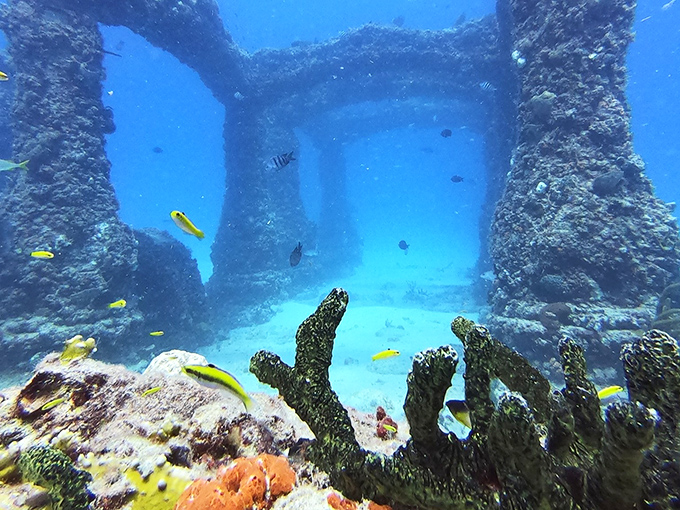 Neptune Memorial Reef: Ancient columns rise from the seafloor like Atlantis reborn, creating underwater passages where tropical fish play hide-and-seek with divers.