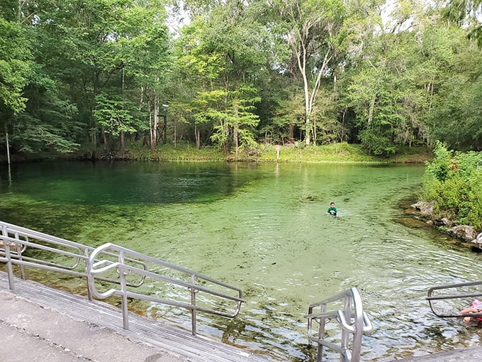 Poe Springs Park's emerald waters invite visitors into nature's own swimming pool, where clarity meets comfort in perfect harmony.