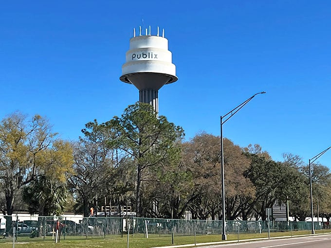 Towering over Lakeland like a dessert mirage, the Publix water tower proves infrastructure can have its cake and store water too.