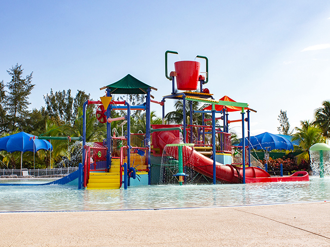 Quiet Waters Park: Where South Florida locals escape the tourist crowds for affordable aquatic adventures and natural beauty in Deerfield Beach.