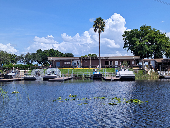 Sawgrass Recreation Park welcomes visitors with its unassuming charm, airboats ready to whisk adventurers into Florida's wild heart.